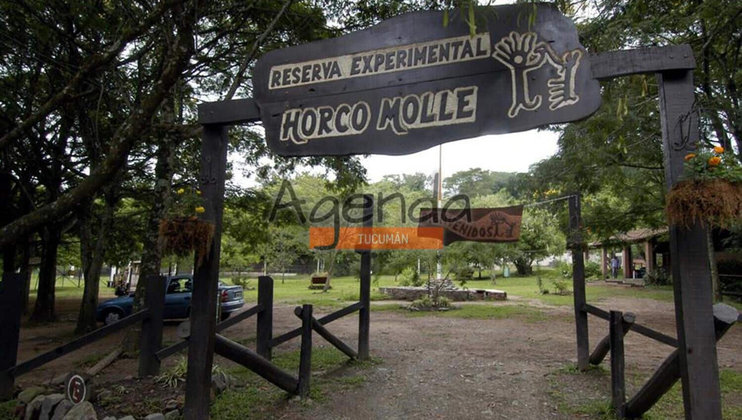 Vuelve A Abrir La Reserva De Horco Molle Agenda Tucumán Eventos Tucumán