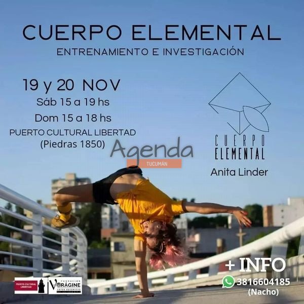19 y 20 de Noviembre | Taller intensivo de entrenamiento e investigación Cuerpo elemental ...
